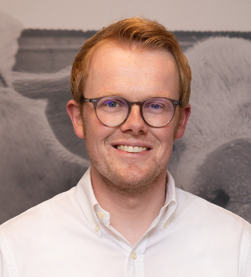 VIEHHANDLUNG BÜERMANN